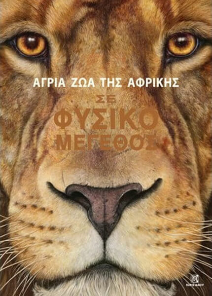 Αγρια Ζωα Της Αφρικης Σε Φυσικο Μεγεθος - Παιδικη βιβλιοθηκη (BKS.0215242)