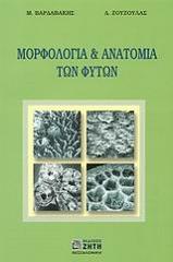 ΜΟΡΦΟΛΟΓΙΑ ΚΑΙ ΑΝΑΤΟΜΙΑ ΤΩΝ ΦΥΤΩΝ | E-s | Snif.gr