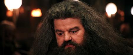 Ο Χαρι Ποτερ Και Η Φιλοσοφικη Λιθος Array - Harry Potter And The ...