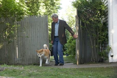 Hachiko: Η Ιστορια Ενος Σκυλου Array - Hachiko: A Dog's Story (dvd ...