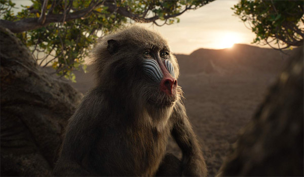Ο Βασιλιας Των Λιονταριων (2019) Array - The Lion King (2019) (blu-ray ...