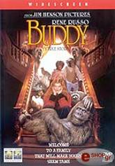 Buddy (dvd) - Κοινωνικη (DVD.01284)