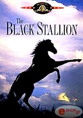Η Μαυρη Καλλονη Array - Black Stallion (dvd) - Παιδικο (DVD.02127)