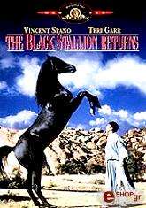 Η Μαυρη Καλλονη Επιστρεφει Array - Black Stallion Returns (dvd ...