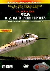 Φιδια Και Αλλα Δηλητηριωδη Ερπετα Array - Wildlife Specials - The ...