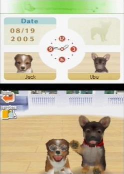 Nintendogs Dachshund & Friends - Games (NDS.00265)