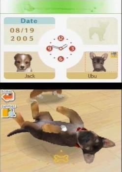 Nintendogs Dachshund & Friends - Games (NDS.00265)