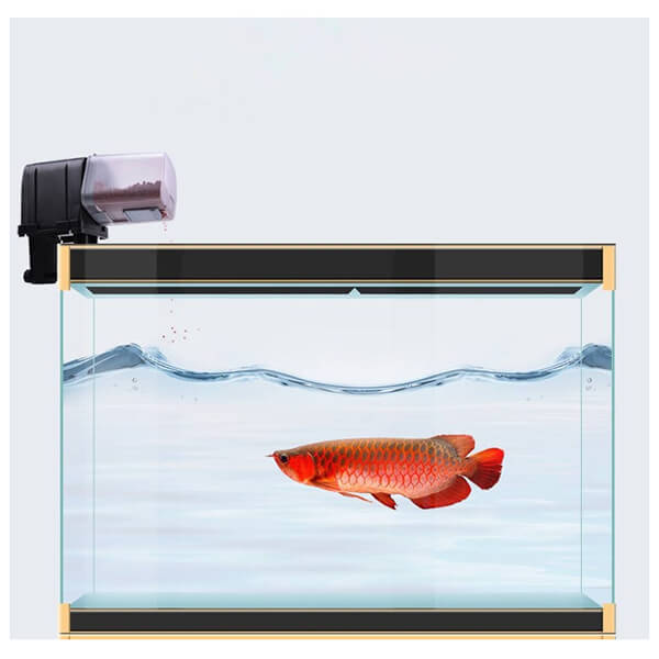 Coolseer Wifi Fish Feeder - Smart home (PER.208346)