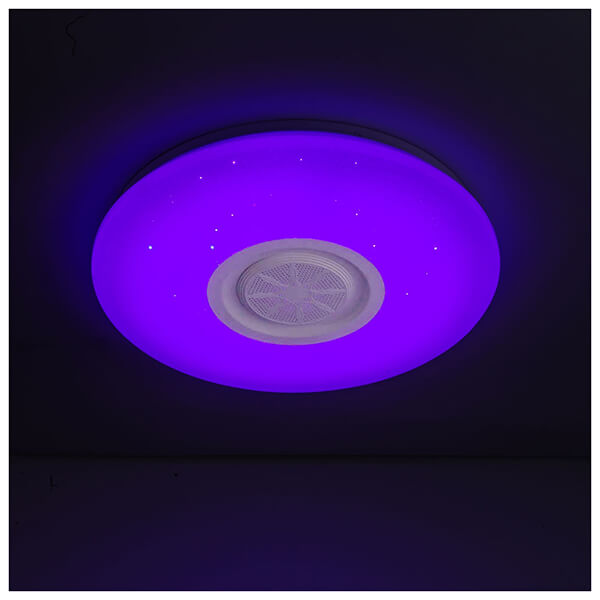 Coolseer Wifi RGB Ceiling Light With Loudspeaker White - Smart home ...