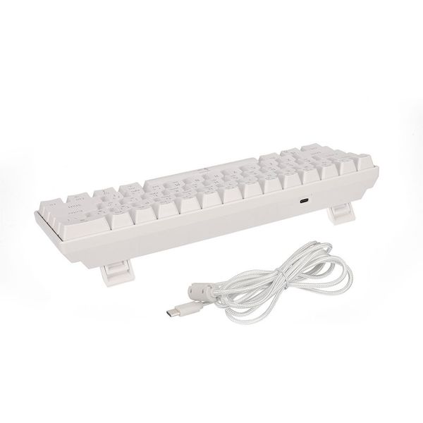 Lamtech RGB Mechanical Gaming Keyboard Blue Switch White With Type-c ...