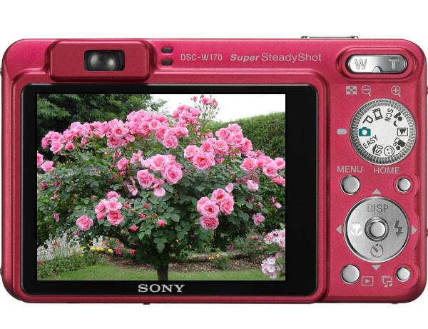 Sony Cybershot Dsc-w170 RED - Ψηφιακες φωτογραφικες μηχανες (PER.563041)