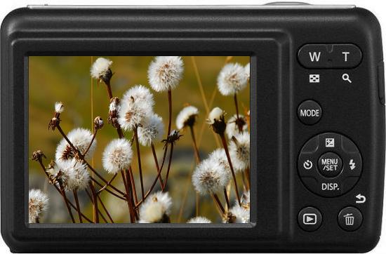 Panasonic Lumix Dmc-ls5 Black - Ψηφιακες φωτογραφικες μηχανες (PER.564471)