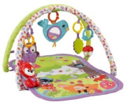 Παπλωμα-γυμναστηριο Fisher Price 3 Σε 1 Ζωακια Του Δασους [cdn47 ...
